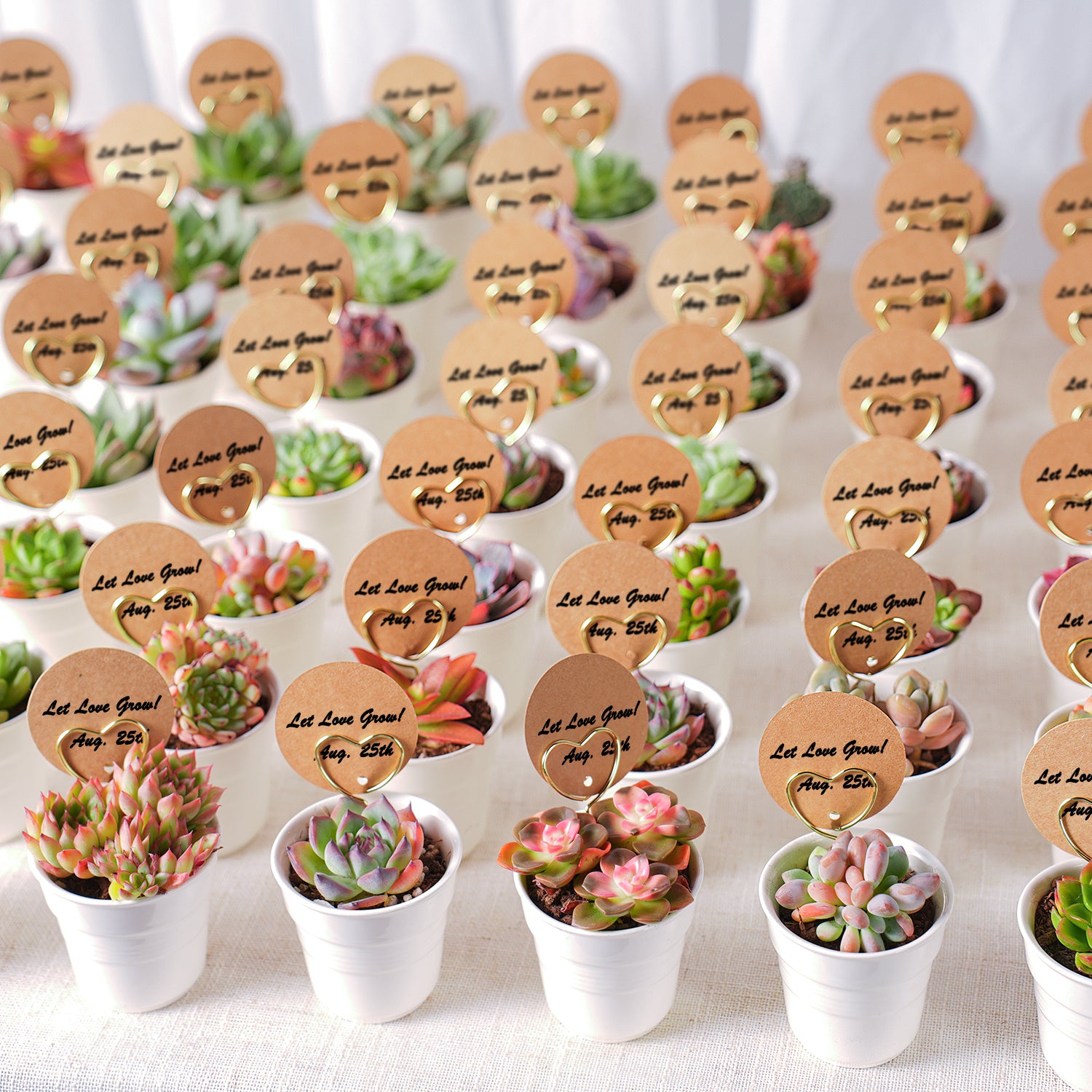 Chic White Ceramic Handheld Cup Succulent Favors | THE NEXT GARDENER – Thenextgardener