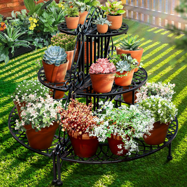 New Release And Featured Succulents For Sale | THE NEXT GARDENER ...